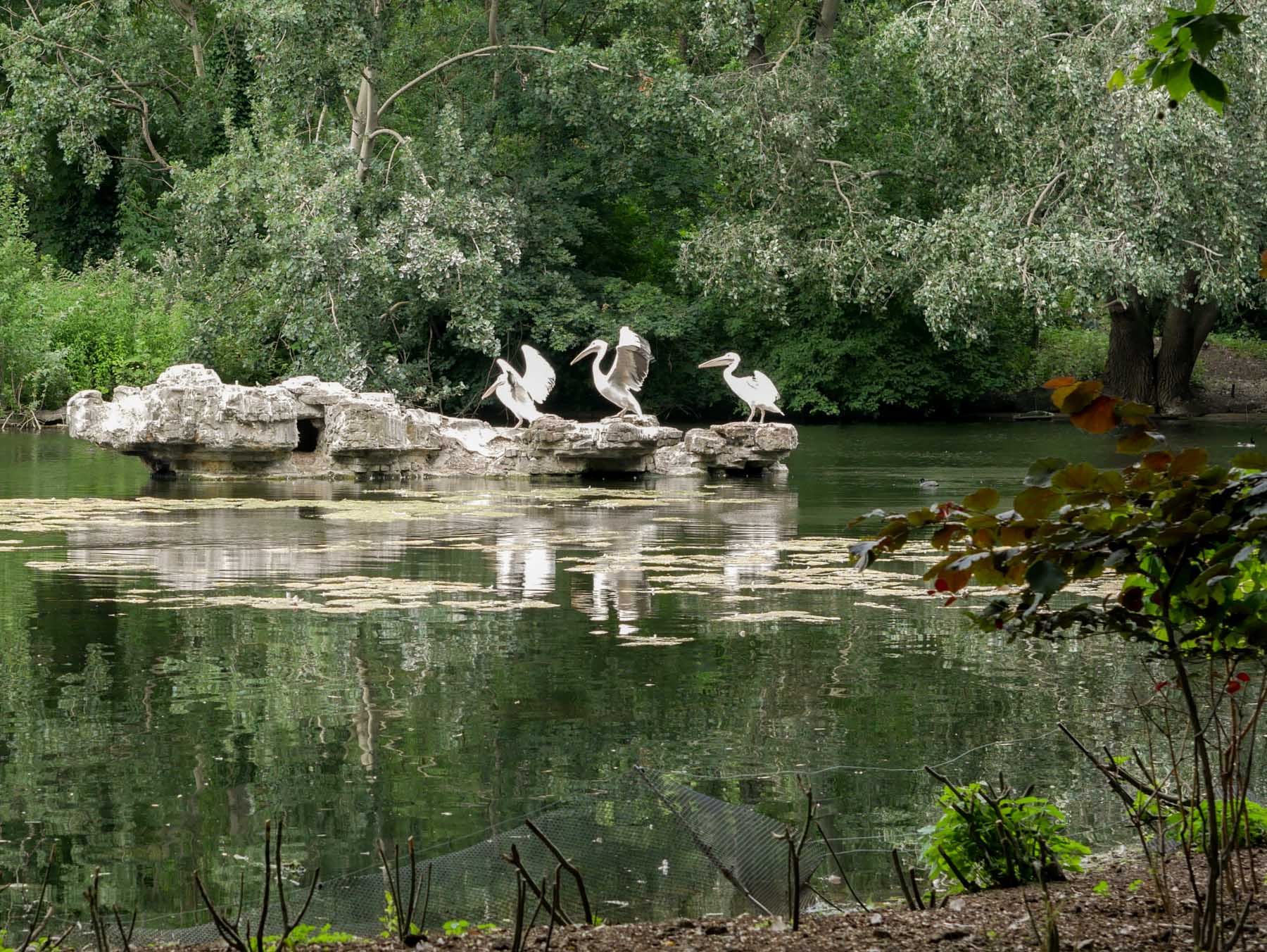 The best parks and gardens in London - Citimarks